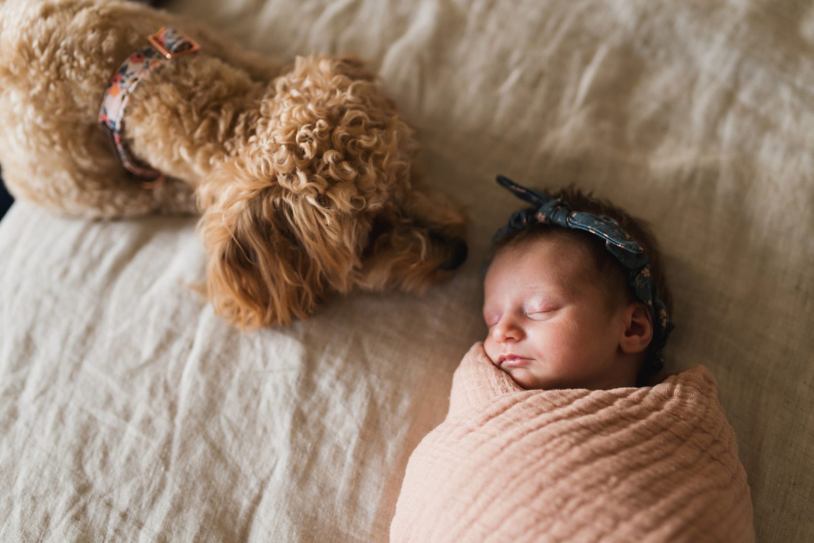 Favorite Poses for Newborn Photos - Blog - PNW Photography Blog ...