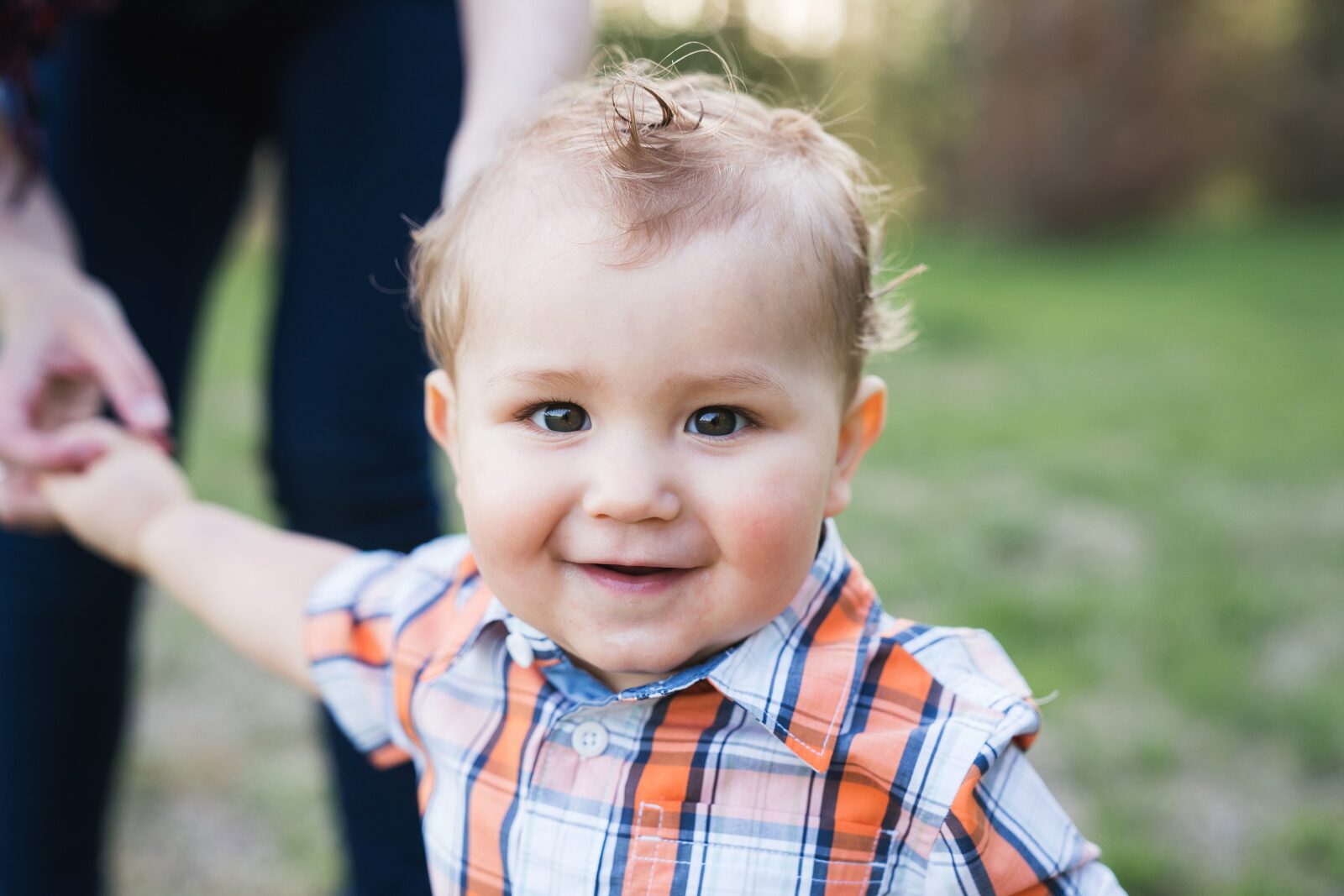 Family Photos: All-Inclusive vs. Session Fee – Know What's Best for You ...