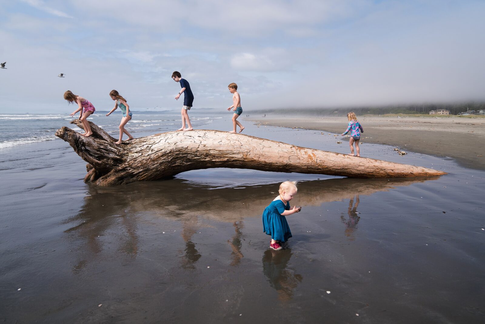 Ocean Shores Area: The Best Beaches for Family Photos - Blog - PNW ...